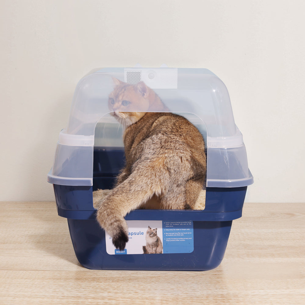 Care Pets in a Smarter Way!